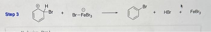 Solved Step 3 +HBr+FeBr3 | Chegg.com