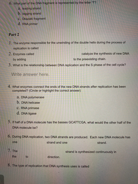 Solved DNA Replication Part 1: Use the diagram of DNA | Chegg.com