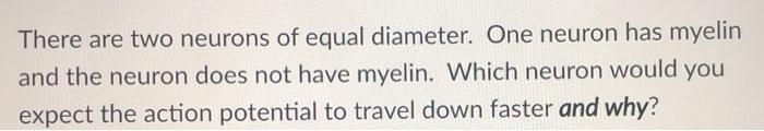 Solved There are two neurons of equal diameter. One neuron | Chegg.com