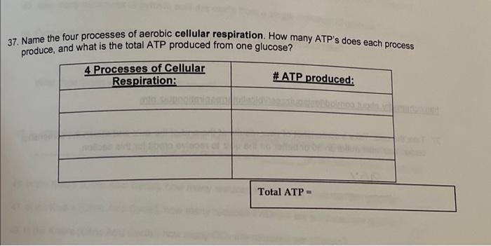 Solved 37. Name the four processes of aerobic cellular | Chegg.com