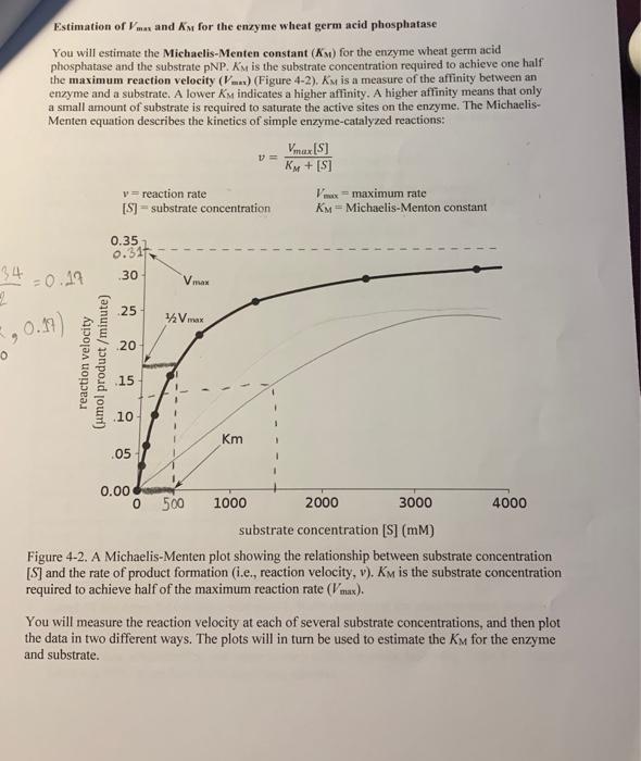 Solved 2. Use this data to prepare a Michaelis-Menten plot | Chegg.com
