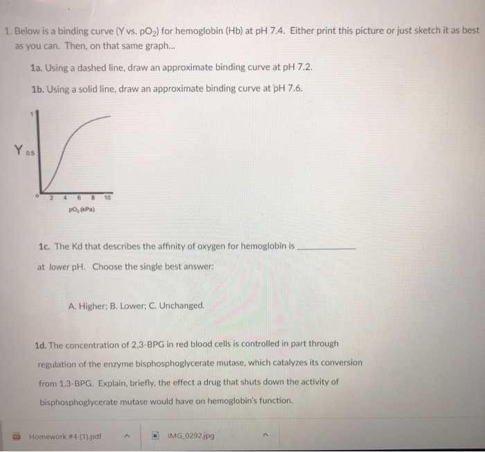 Solved 1. Below is a binding curve (Yvs. pO2) for hemoglobin | Chegg.com