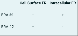 Solved Activation of estrogen signalling pathways can | Chegg.com