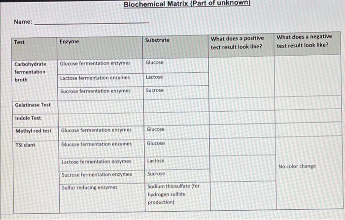 Solved Biochemical Matrix (Part of unknown) Name: | Chegg.com