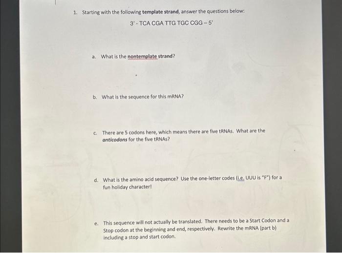Solved Starting with the following template strand, answer | Chegg.com