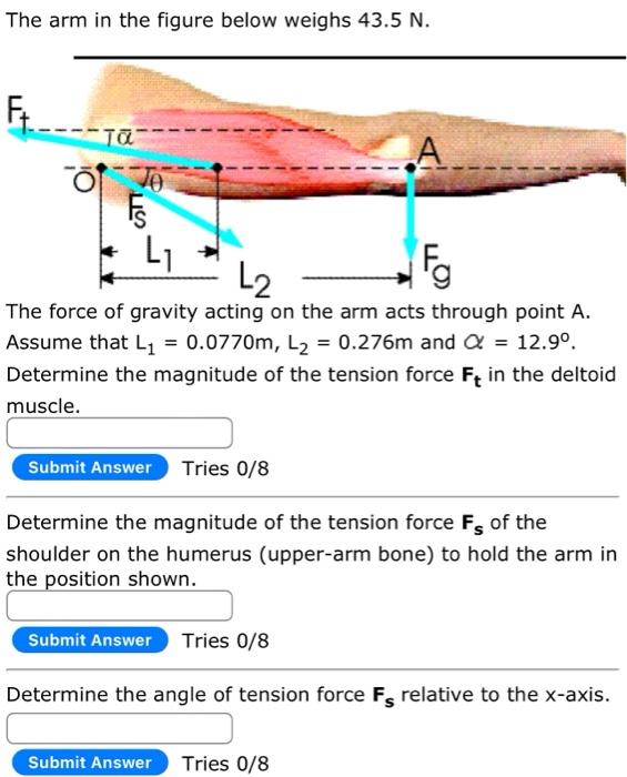 Solved The arm in the figure below weighs 43.5 N. The force | Chegg.com