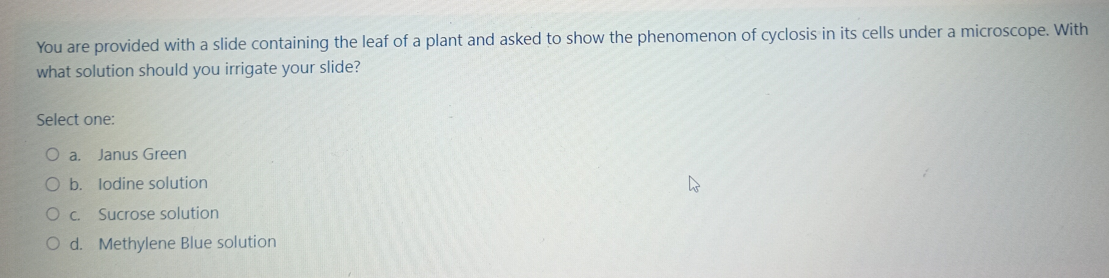 Solved You are provided with a slide containing the leaf of | Chegg.com