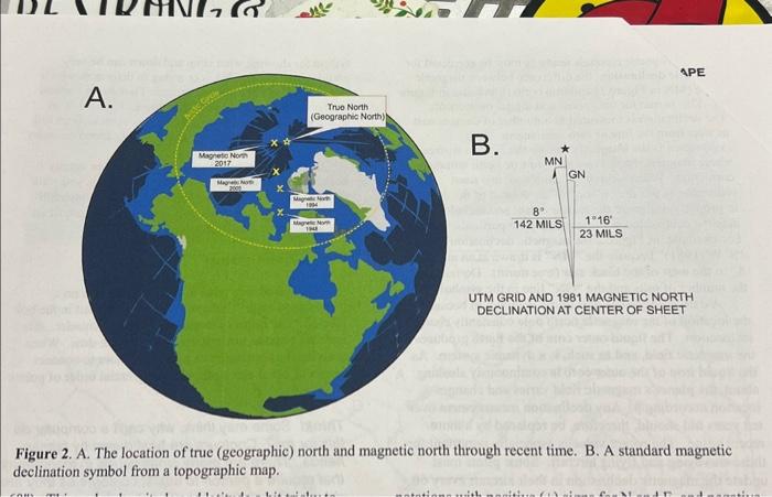 Solved UTM GRID AND 1981 MAGNETIC NORTH DECLINATION AT | Chegg.com