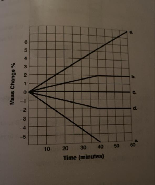 Calculate the rate of diffusion for every I min | Chegg.com