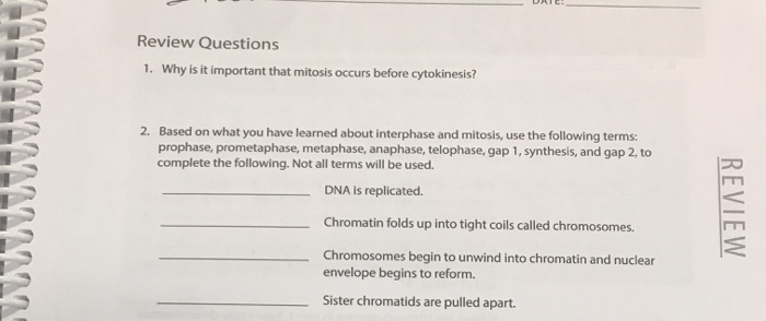Solved Review Questions 1. Why is it important that mitosis | Chegg.com