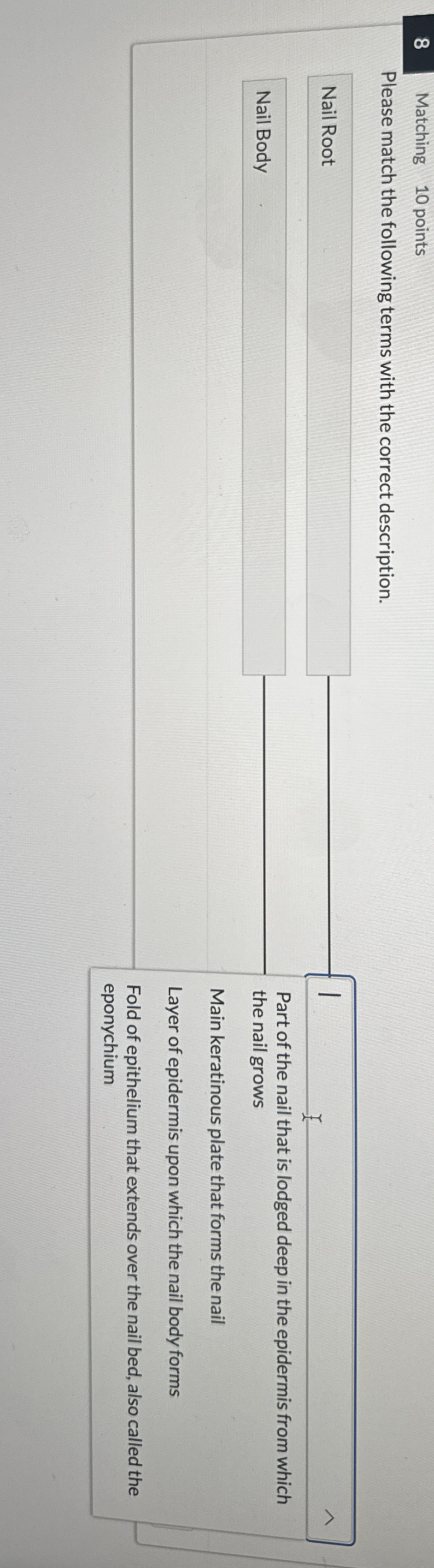 Solved 8Matching 10 ﻿pointsPlease match the following terms | Chegg.com