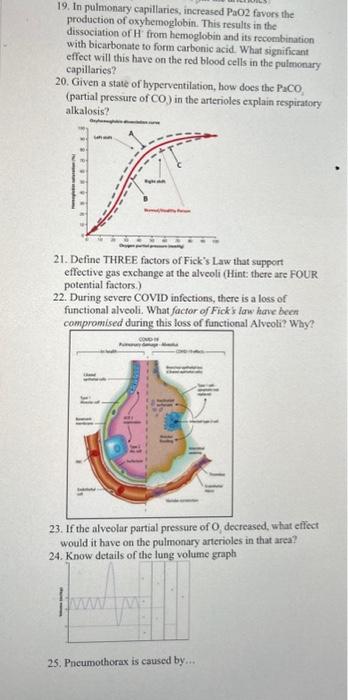 Solved 19. In pulmonary capillaries, increased PaO2 favors | Chegg.com