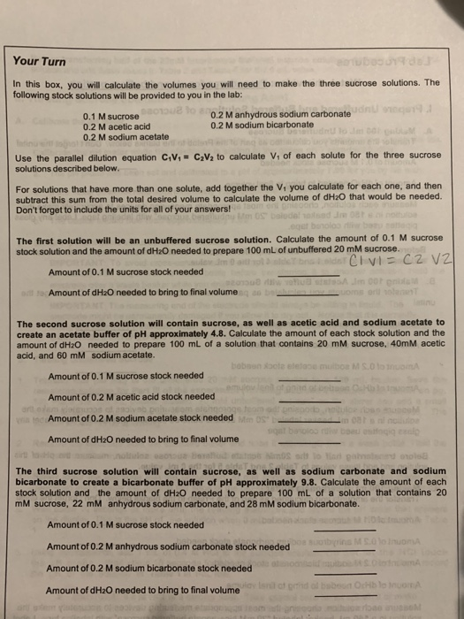 Solved Your Turn In this box, you will calculate the volumes | Chegg.com