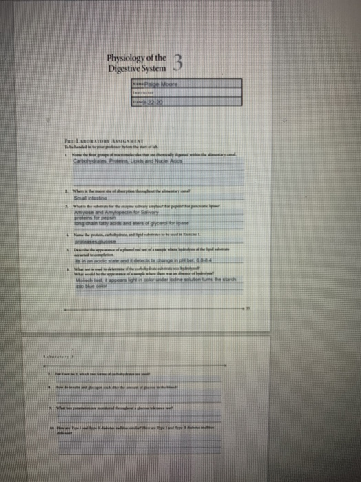 Physiology of the Digestive System 3. H. Mon 22:20 | Chegg.com