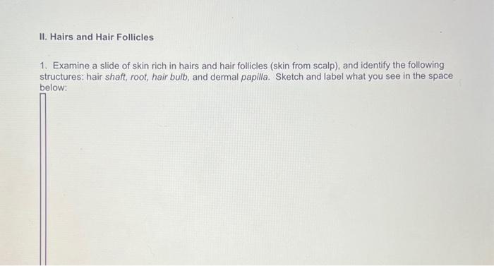 Solved Microscope Exercise: I. Skin Structure 1. Thick Skin | Chegg.com