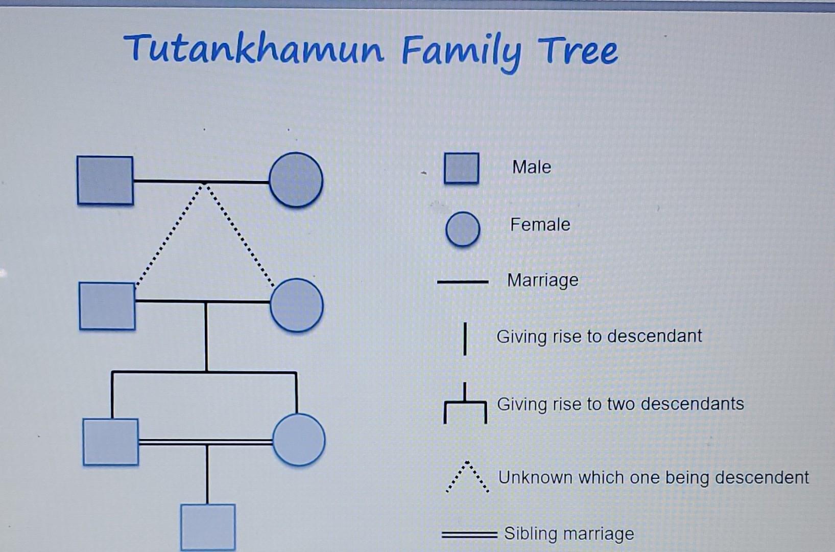 Solved Tutankhamun Family Tree DNA polymorphisms are now | Chegg.com