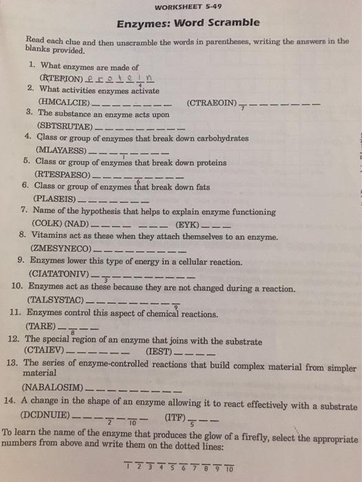 Solved WORKSHEET 5-49 T --- Enzymes: Word Scramble Read each | Chegg.com