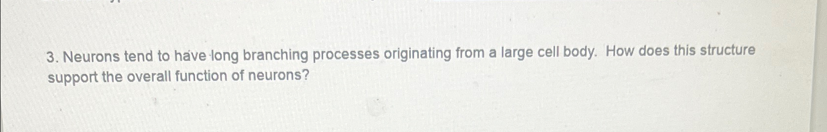 Solved Neurons tend to have long branching processes | Chegg.com