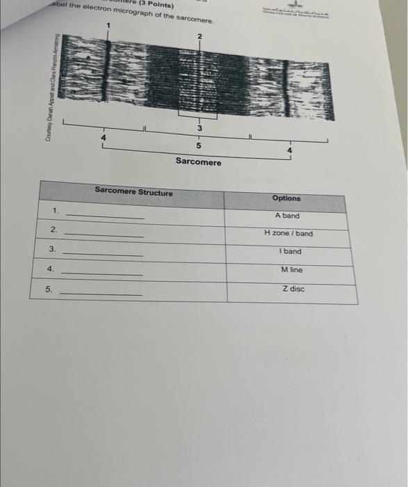 AON 1: PRE-LAB ACTIVITY (7 Points) Aplete Activity | Chegg.com
