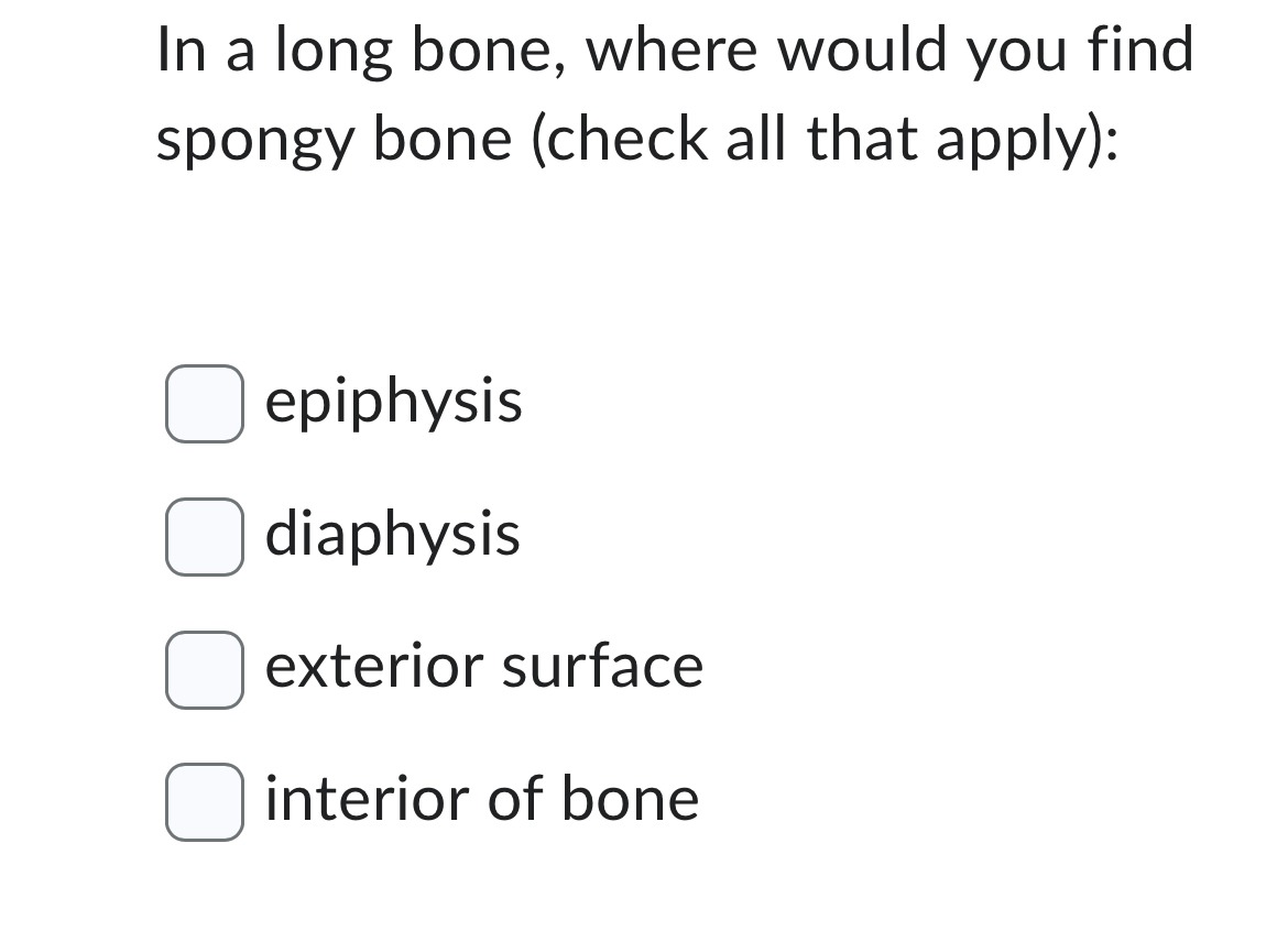 Solved In a long bone, where would you findspongy bone | Chegg.com