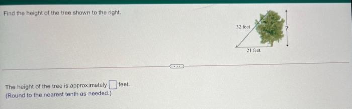 Solved Find the height of the tree shown to the right 32 | Chegg.com
