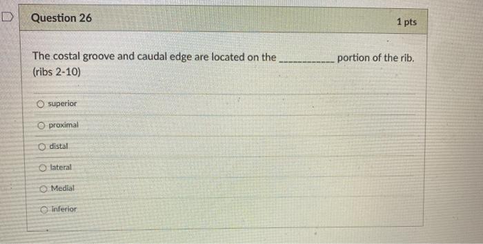 Solved Question 26 1 pts The costal groove and caudal edge | Chegg.com