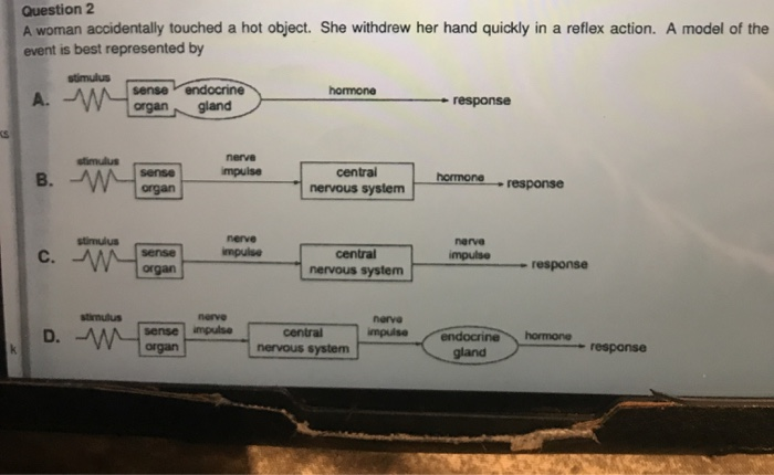 Solved Question 2 A woman accidentally touched a hot object. | Chegg.com