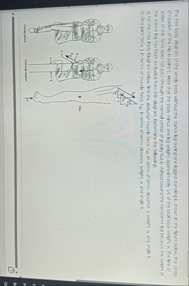 Solved The free-body diagram of the whole body without the | Chegg.com