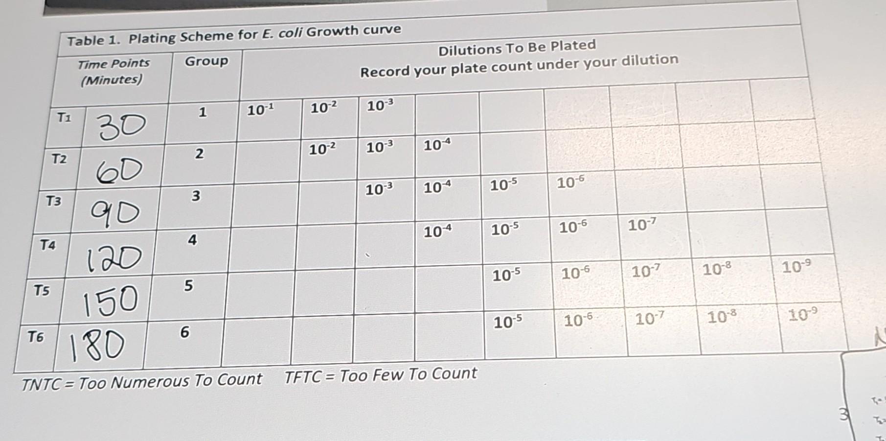 Table 1. Plating Scheme for E. coli Growth curve TNTC | Chegg.com