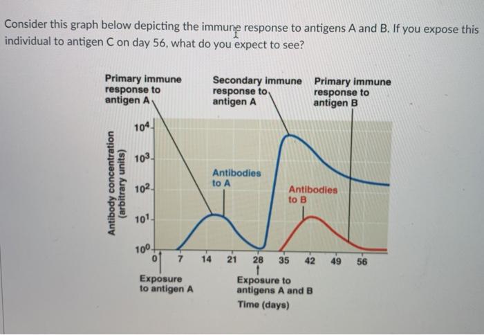 Immune Response Graph