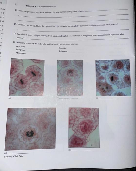 Solved Review Questions 1. Cells in the body have a fluid | Chegg.com