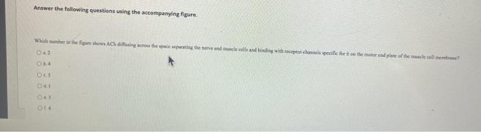 Solved 1 ingurte f=3Answer the following questions using the | Chegg.com