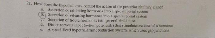 Solved 21. How does the hypothalamus control the action of | Chegg.com