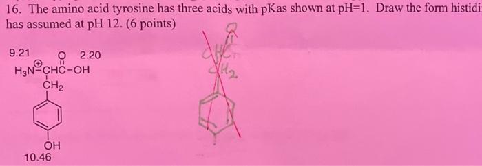 Solved 16. The amino acid tyrosine has three acids with pKas | Chegg.com