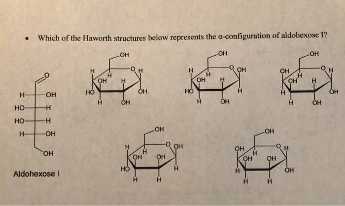 Solved Which of the Haworth structures below represents the | Chegg.com