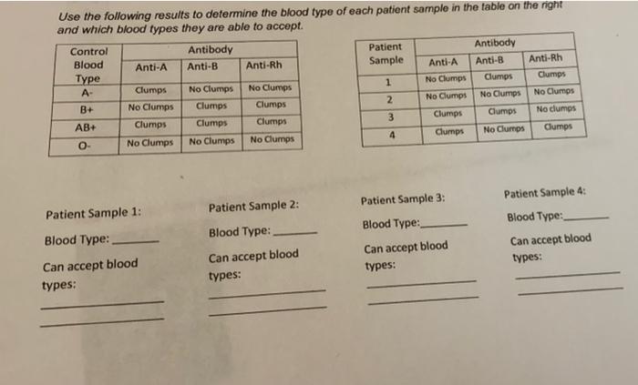 Solved Use the following results to determine the blood type | Chegg.com
