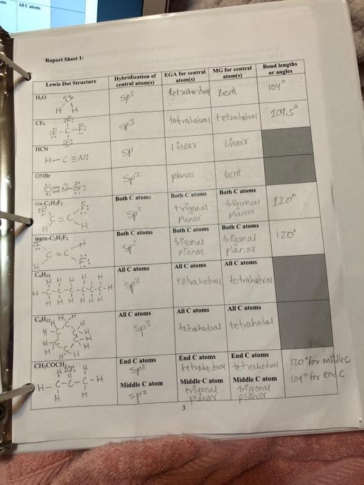 Solved Molecular Modeling Purpose In this lab you will | Chegg.com