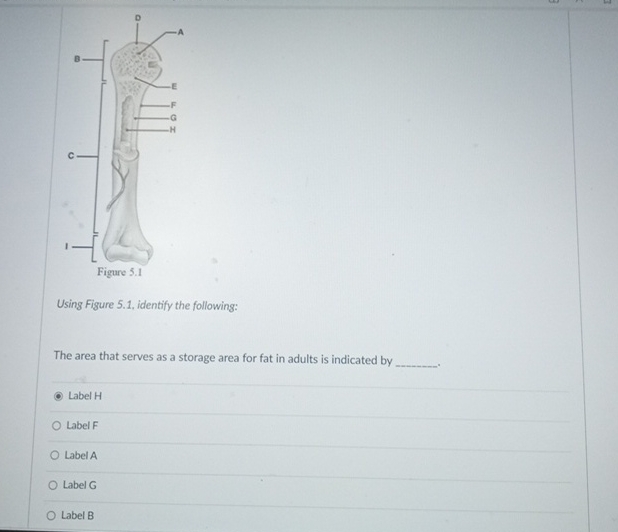 Solved Using Figure 5.1, identify the following:The area | Chegg.com Solved Using Figure 5.1, identify the following:The area | Chegg.com
