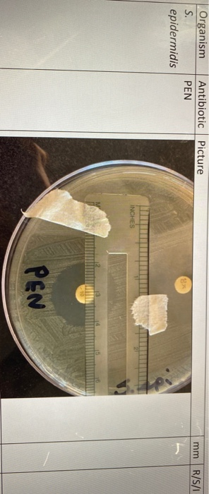 Solved I need help filling out the table. I have included | Chegg.com