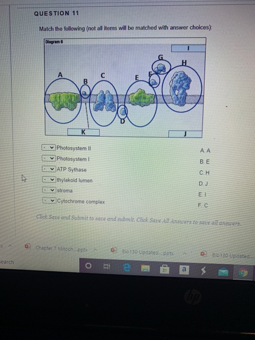 Solved QUESTION 11 Match the following (not all items will | Chegg.com