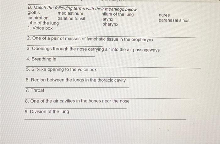 Solved VOCABULARY QUIZ A. Match the following terms with | Chegg.com