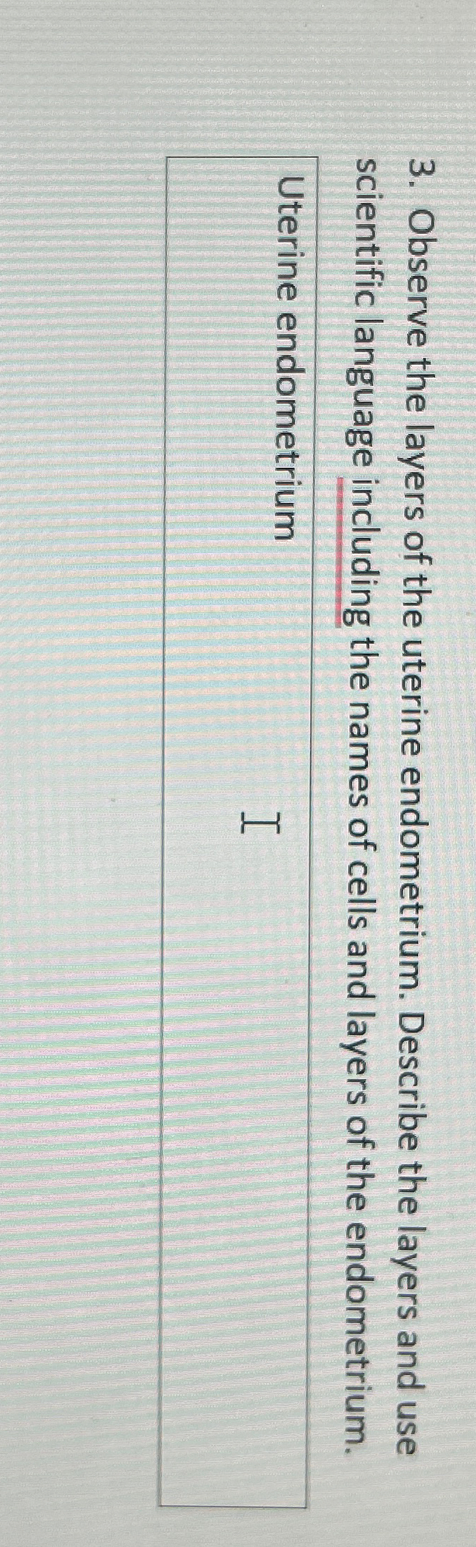 Solved Observe the layers of the uterine endometrium. | Chegg.com