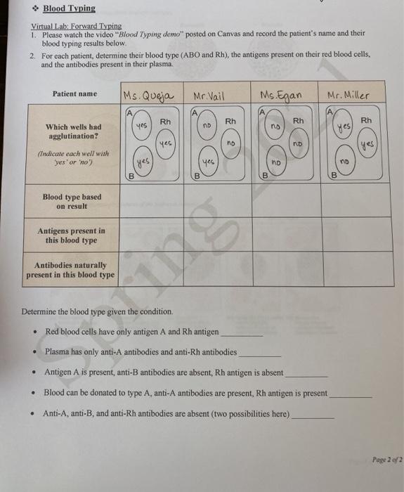 Solved Blood Typing Virtual Lab: Forward Typing 1. Please | Chegg.com
