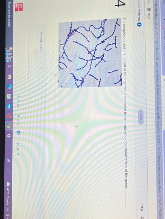 Solved The morphology and arrangment of the organism | Chegg.com