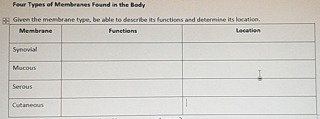Solved Four Types of Membranes Found in the Body Given the | Chegg.com