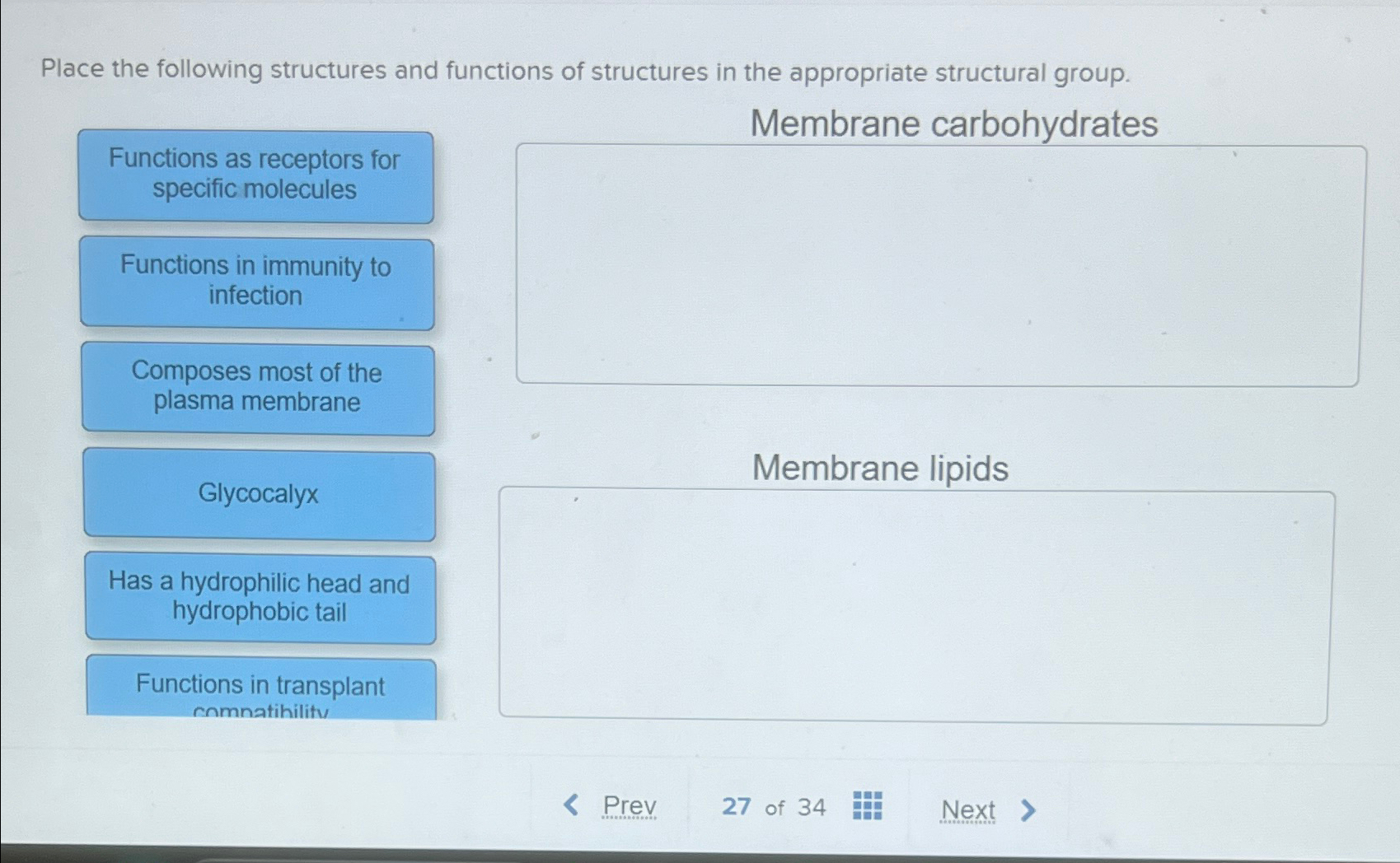 Solved Place the following structures and functions of | Chegg.com