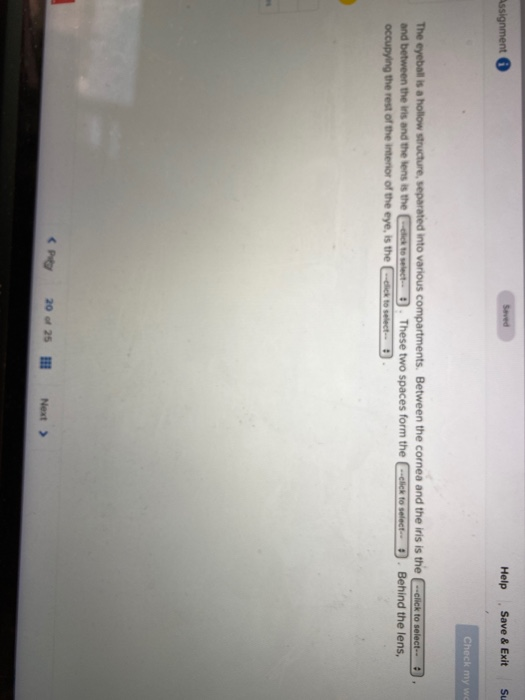 Solved Assignment 0 Help Save & Exit Su Check my we a The | Chegg.com