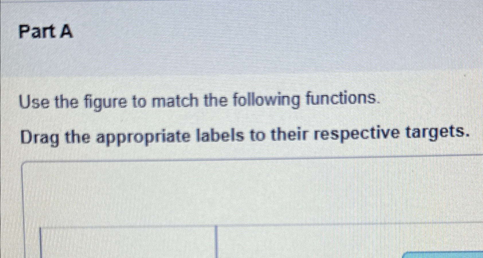 Solved Part AUse the figure to match the following | Chegg.com