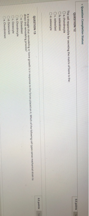 Solved Question Completion Status QUESTION 1z 0.5 points The | Chegg.com