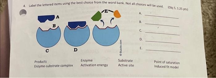 Solved 4. Label the lettered items using the best choice | Chegg.com